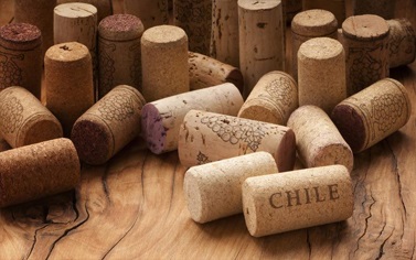 HUY PHONG GROUP - CÔNG TY CỔ PHẦN HUY PHONG